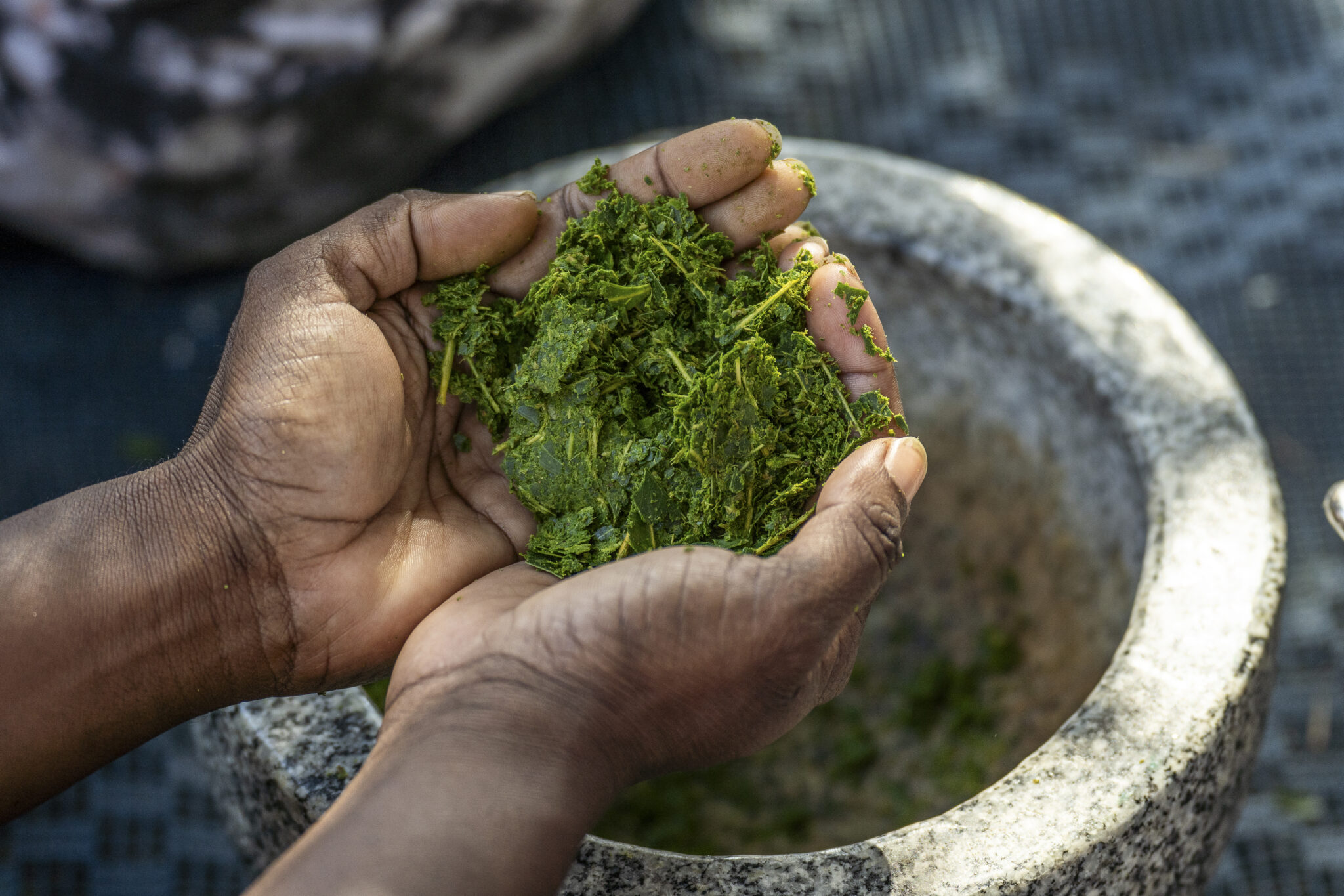 Program - Barunga Fest